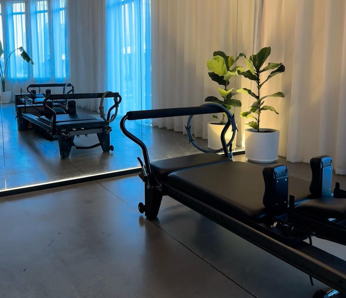 Dunedin – Reform Fitness